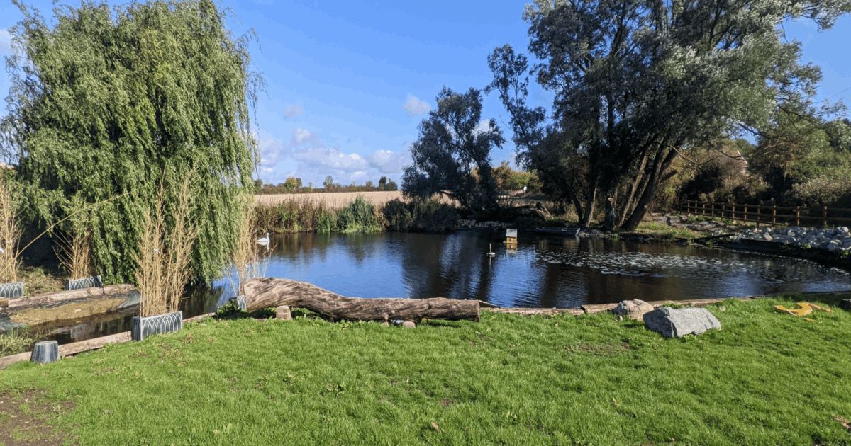 Reviews - Arthur's Retreat Caravan and Motorhome Campsite Suffolk